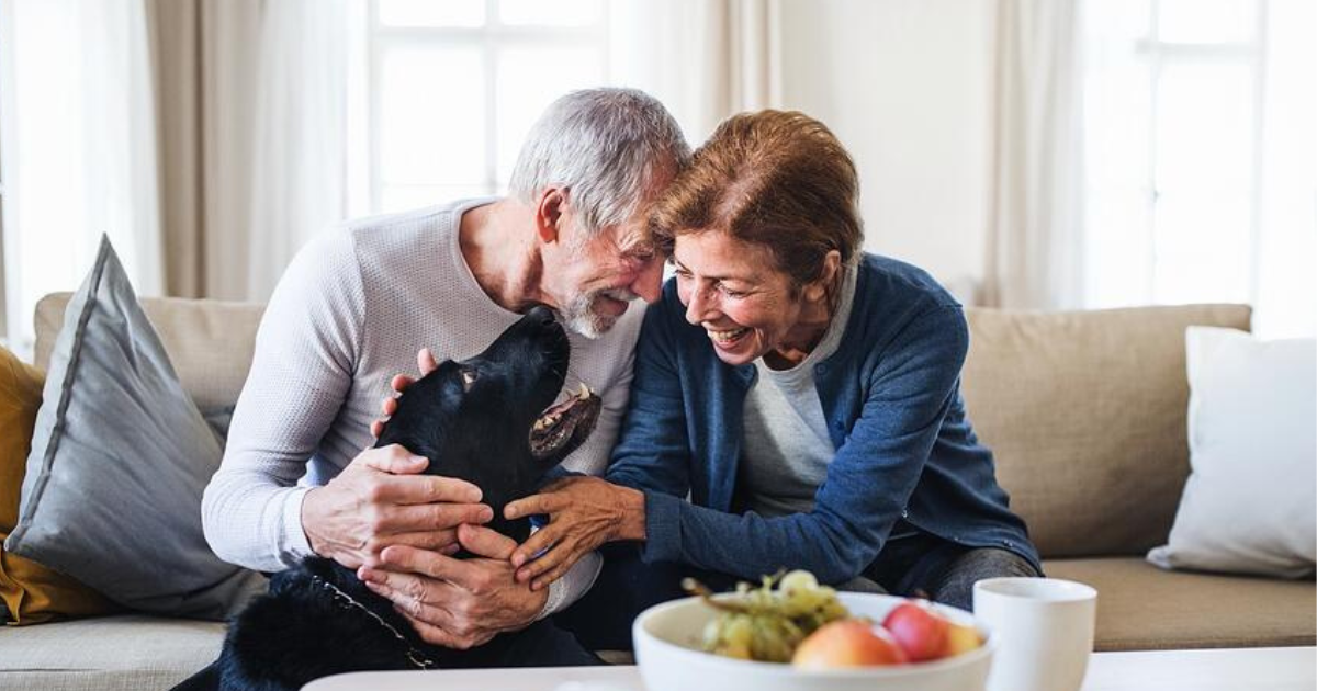 The Perks of Pets: 7 Health Benefits for Seniors